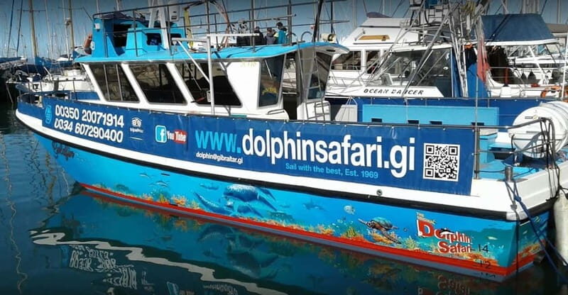 Gibraltar: Dolphin Watching Boat Tour V.I.P - Introduction