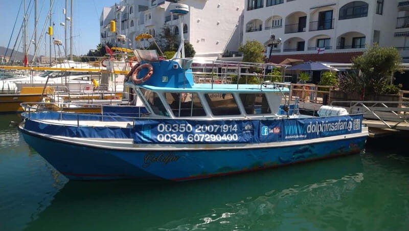 Gibraltar: Dolphin Watching Boat Tour V.I.P - Why This Tour Truly Stands Out