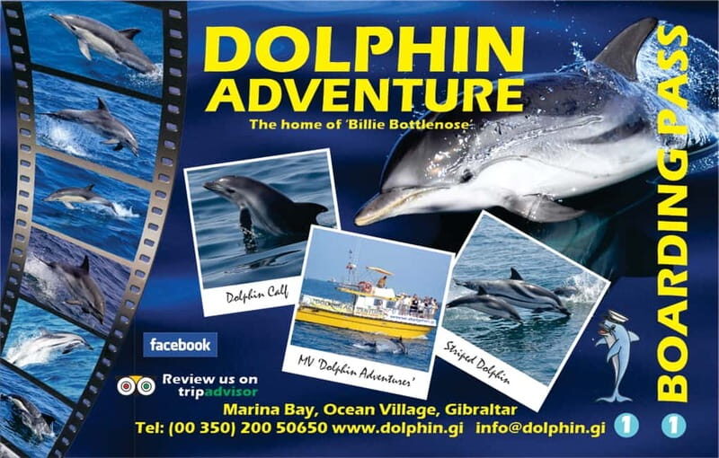 Gibraltar: Dolphin Watching Tour - Final Thoughts: Is It Worth It?