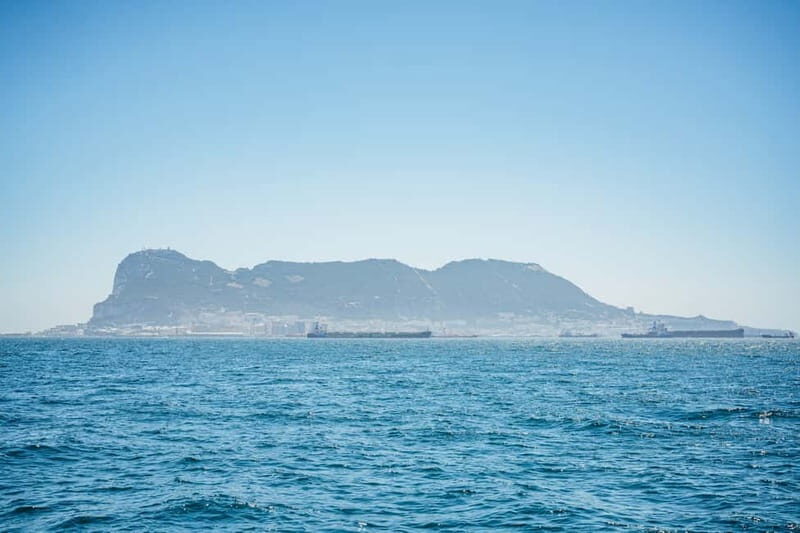 Gibraltar: Dolphin Watching Tour - Final Thoughts