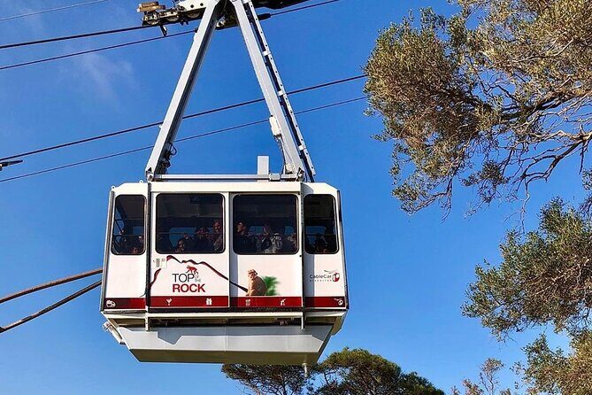 Gibraltar Pass- The Official City Pass for all attractions! - Practicalities and User Experience