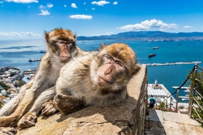 Gibraltar Pass- The Official City Pass for all attractions! - Final Verdict