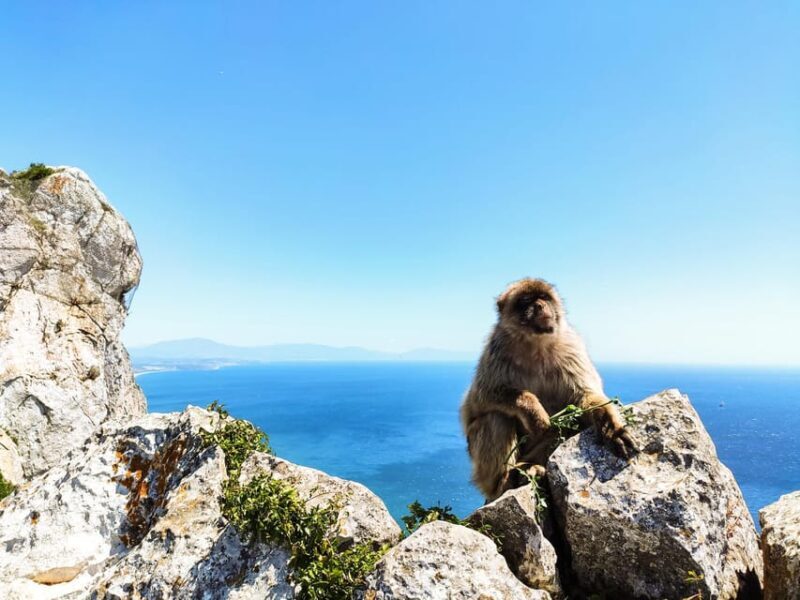 Gibraltar: premium private day trip & Rock tour - FAQs