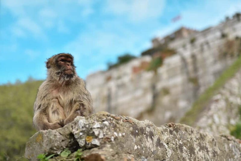 Gibraltar Rock tour - Final Thoughts