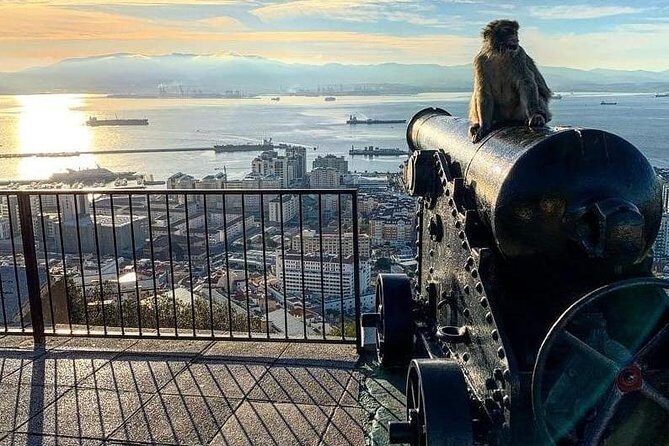 Gibraltar Sightseeing :SKYWALK AND SUSPENSION BRIDGE TOUR (Private) - Practical Aspects and Considerations