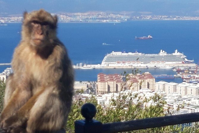 Gibraltar Sightseeing :SKYWALK AND SUSPENSION BRIDGE TOUR (Private) - FAQs
