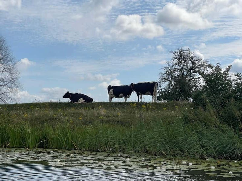 Giethoorn & Windmill Country  A Journey Through Old Holland - Authenticity and Value: What Makes This Tour Stand Out?
