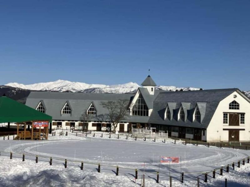 Gifu: Gujo Hachiman, Bokka no Sato, & Onsen Day Trip - The Cultural and Creative Side: Crafting and Animal Encounters