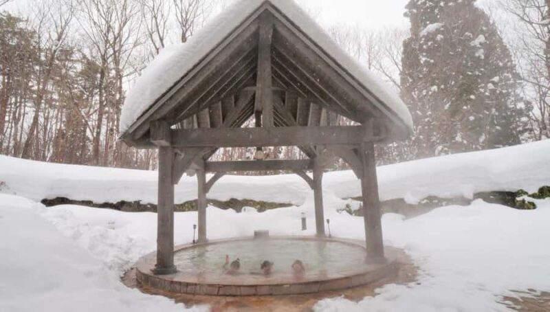 Gifu: Gujo Hachiman, Bokka no Sato, & Onsen Day Trip - Who Should Consider This Tour?