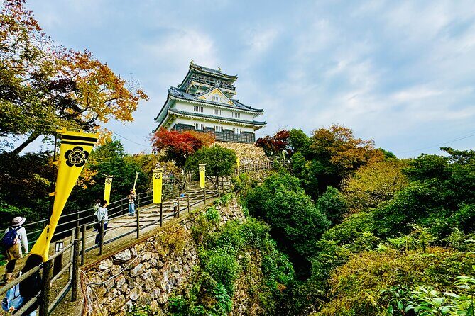 Gifu Half Day Private Tour Castle, Great Buddha and Old Town - Introduction: An Authentic Gifu Experience in Half a Day