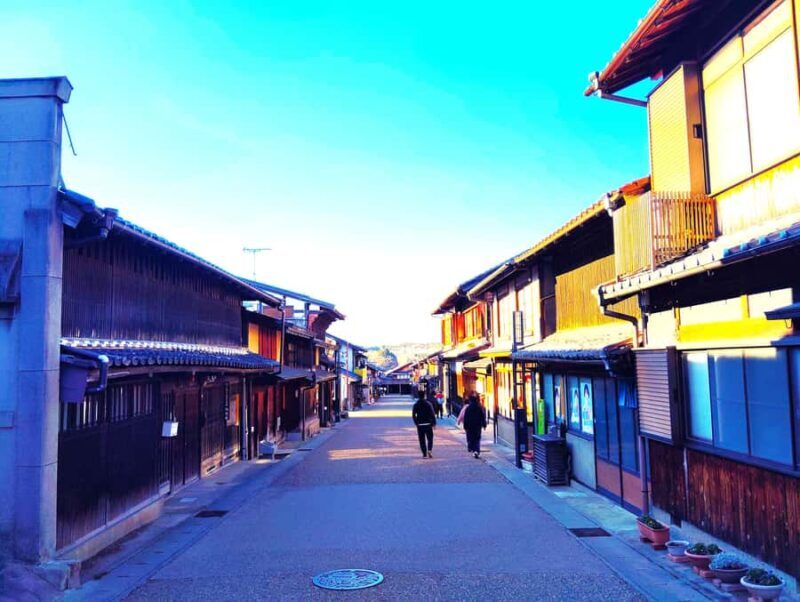 Gifu: Iwamura Castle Town and Edo-Era Philosophy Walk - Who Will Appreciate This Tour?