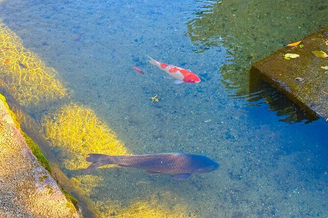 Gifu: Private Guided Tour of Shirakawa-go - FAQ