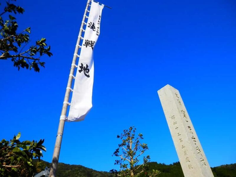 Gifu: Sekigahara and gaki Castle driving tour with Lunch - Introduction: What to Expect from This Tour