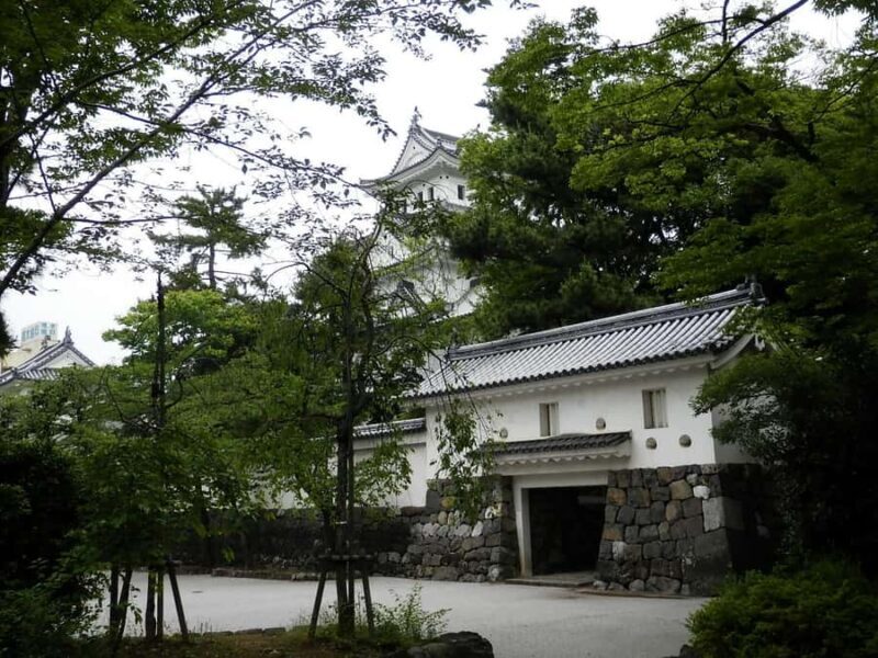 Gifu: Sekigahara and gaki Castle driving tour with Lunch - Who Will Love This Tour?