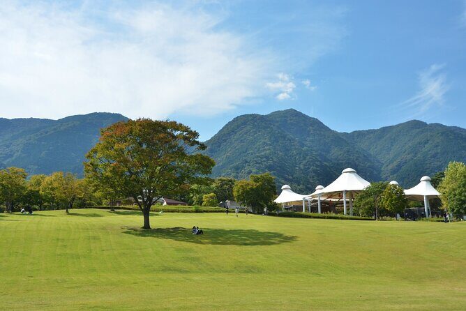 Gifu: Yoro Unforgettable Walkable Artwork - Key Points