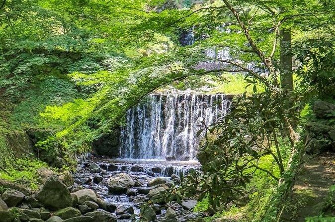 Gifu: Yoro Unforgettable Walkable Artwork - FAQs