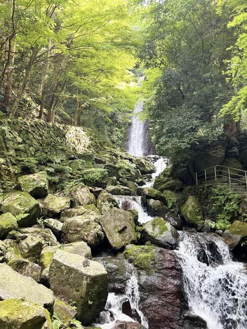 Gifu: Yrs Unforgettable Walkable Artwork - Who Should Consider This Tour?