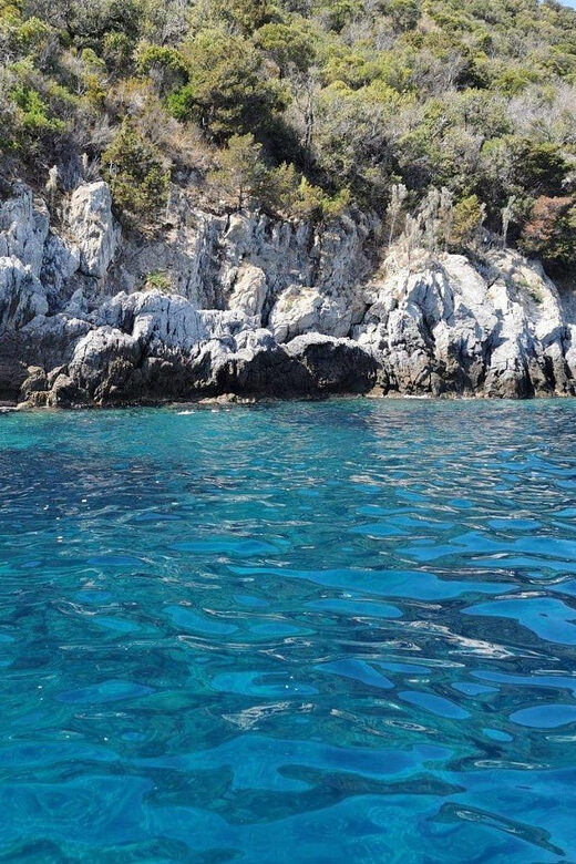 Giglio Island (Tuscania): Tour and snorkelling on a dinghy - Who Will Love This Tour?