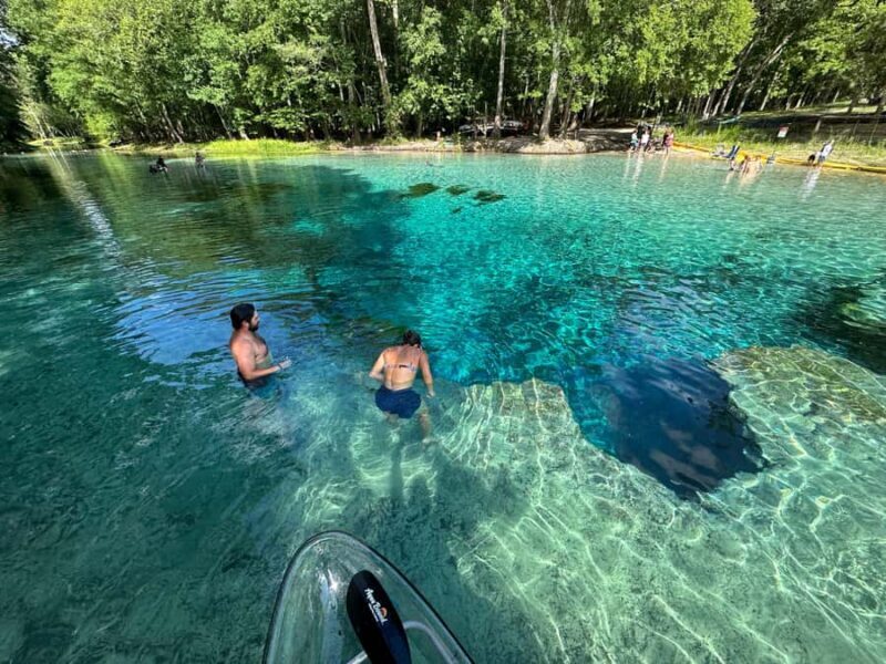 Gilchrist Blue: Clear Kayak Eco Tour - Key Points