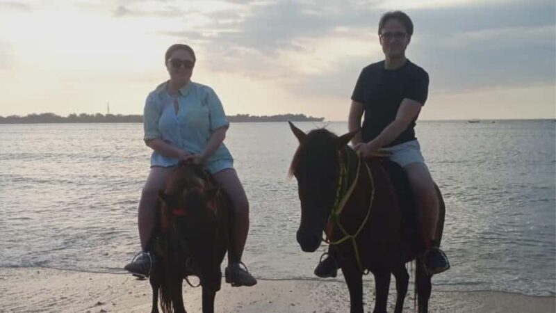 Gili Air: 1-Hour Horse Riding Adventure - The Experience: What to Expect