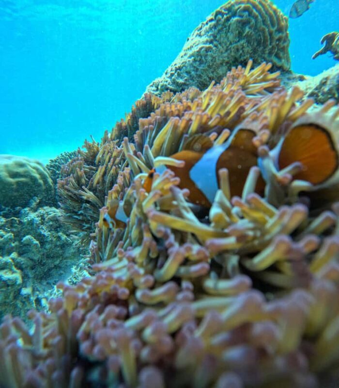 Gili Air: Private 3-Hour Snorkeling Tour with Photo Shoot - What Travelers Say