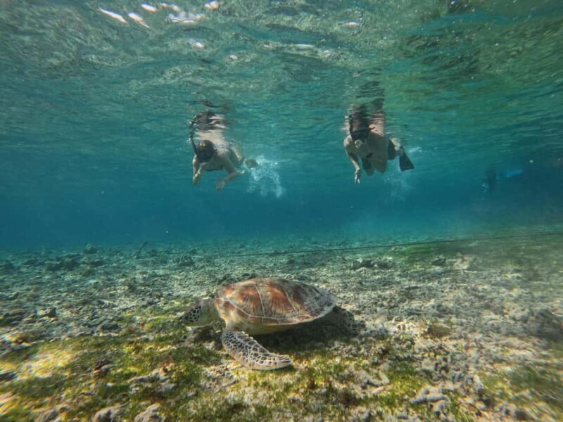 Gili Air: Private 3-Hour Snorkeling Tour with Photo Shoot - Who Should Consider This Tour?