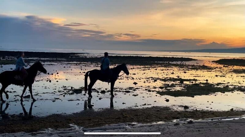 Gili Air: Private Sunrise or Sunset Horse Riding Tour - Key Points