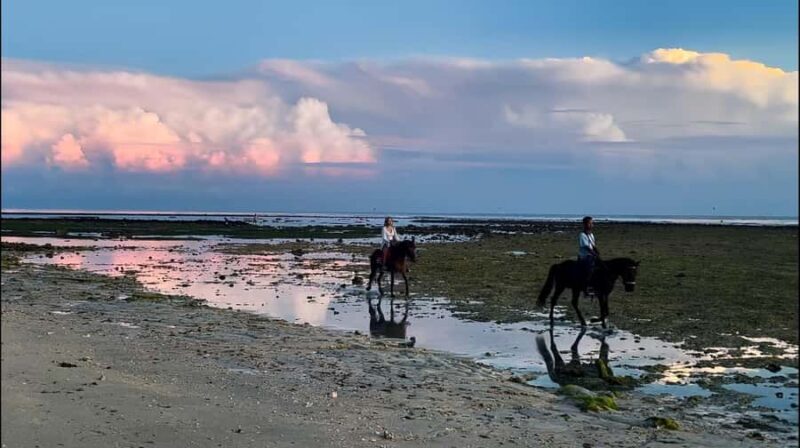 Gili Air: Private Sunrise or Sunset Horse Riding Tour - The Ethical Approach to Horse Care