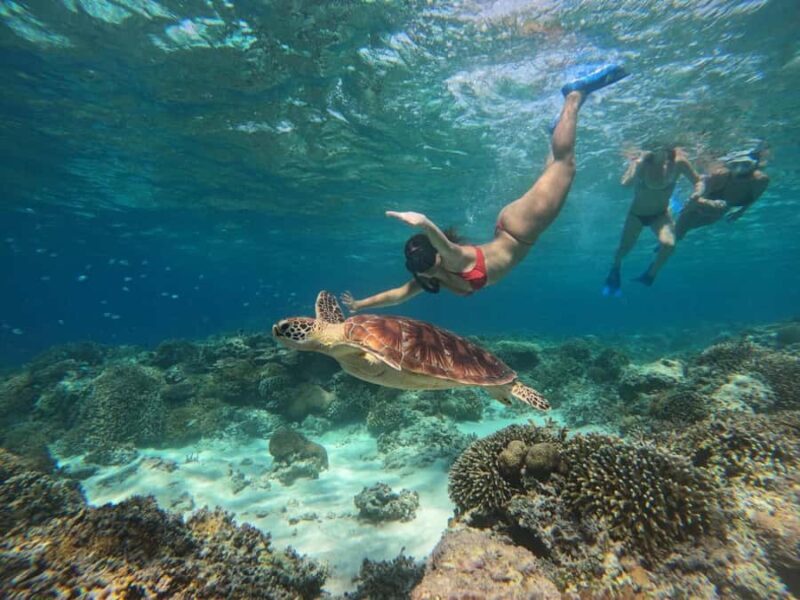 Gili Air Share Snorkeling Tour With GOPRO Documentation - A Deeper Look Into the Gili Air Snorkeling Tour