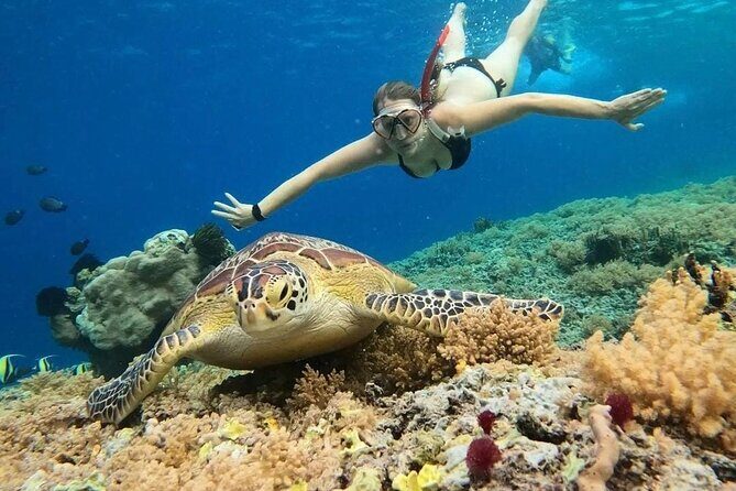 Gili Air: Snorkeling 3 Gili Islands with GoPro Camera - Key Points