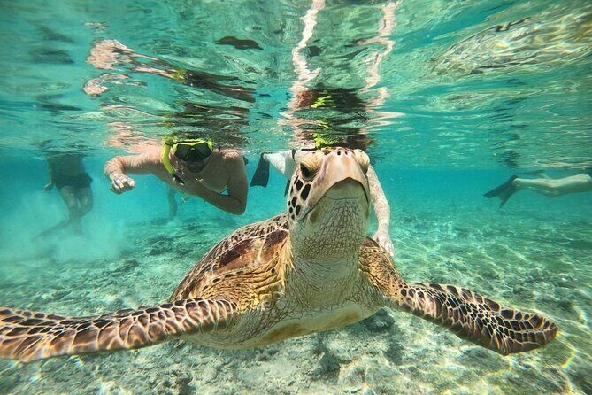 Gili Island Snorkeling Adventure Turtles Statues and Coral Garden - The Overall Experience: What It Means for You