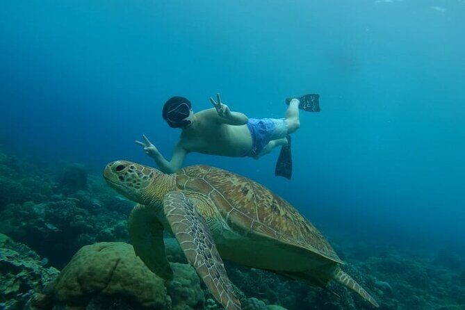 Gili Island Snorkeling Adventure Turtles Statues and Coral Garden - The Authentic Gili Experience: Who Will Love This?