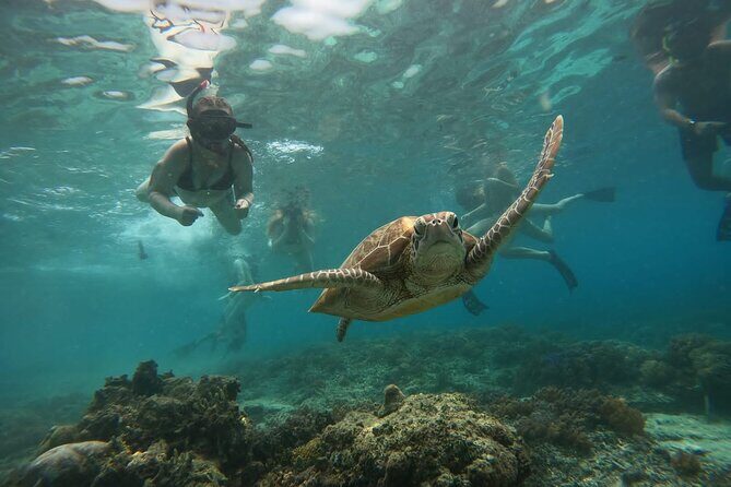 Gili Island Snorkeling Adventure Turtles Statues and Coral Garden - FAQs