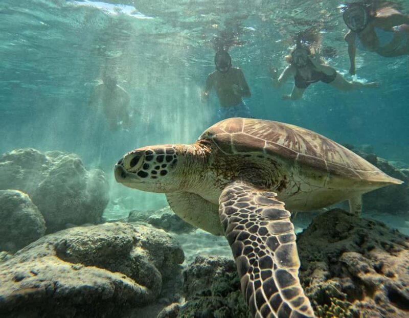 Gili Island Snorkeling: Gili Trawangan, Meno And Air - Key Points