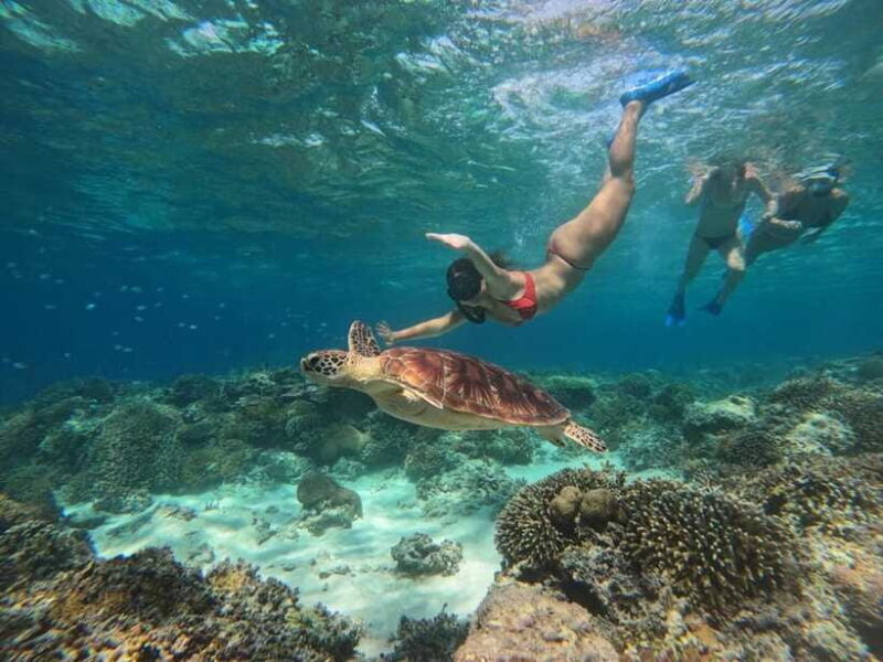 Gili Island Snorkeling Tour: 3 Gilis, 4 spots & GOPRO shoot - FAQ