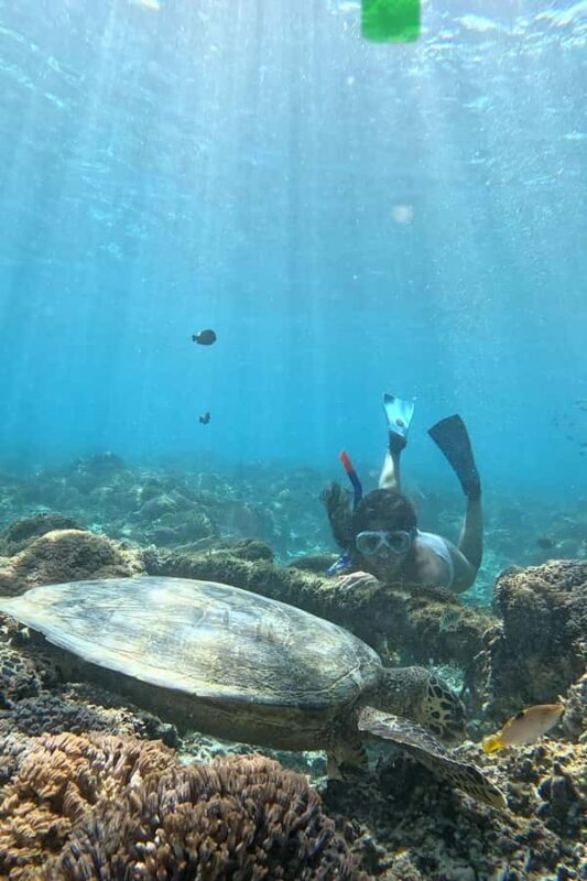 Gili island Snorkelling by private glass bottom boat - Similar Experiences and Alternatives