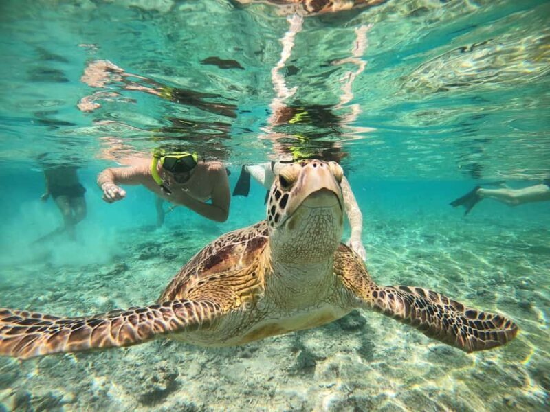 Gili island Snorkelling by private glass bottom boat - FAQ