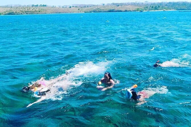 Gili Islands Day Tour and Snorkeling at Turtle Points - Key Points