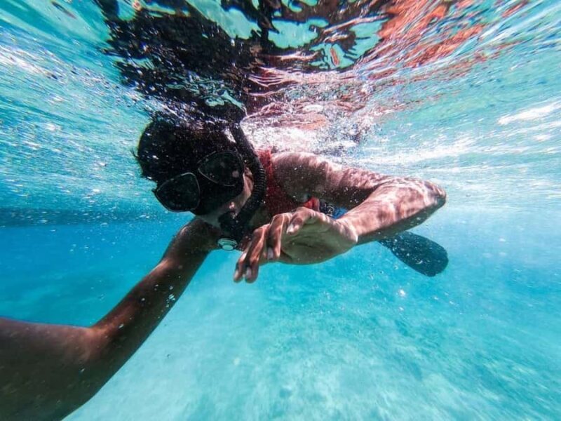 Gili Islands: Private Snorkeling Boat Tour with Local Guide - Value and Cost Analysis