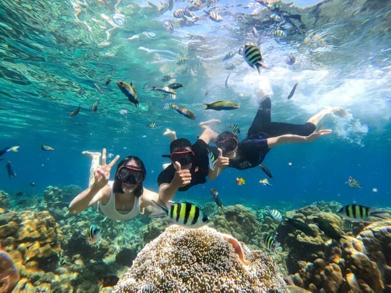 Gili Islands: Private Snorkeling Boat Tour with Local Guide - Authenticity and Practical Tips