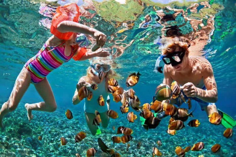 Gili Islands Snorkeling Adventure - Introduction: What You Can Expect from This Gili Snorkeling Tour
