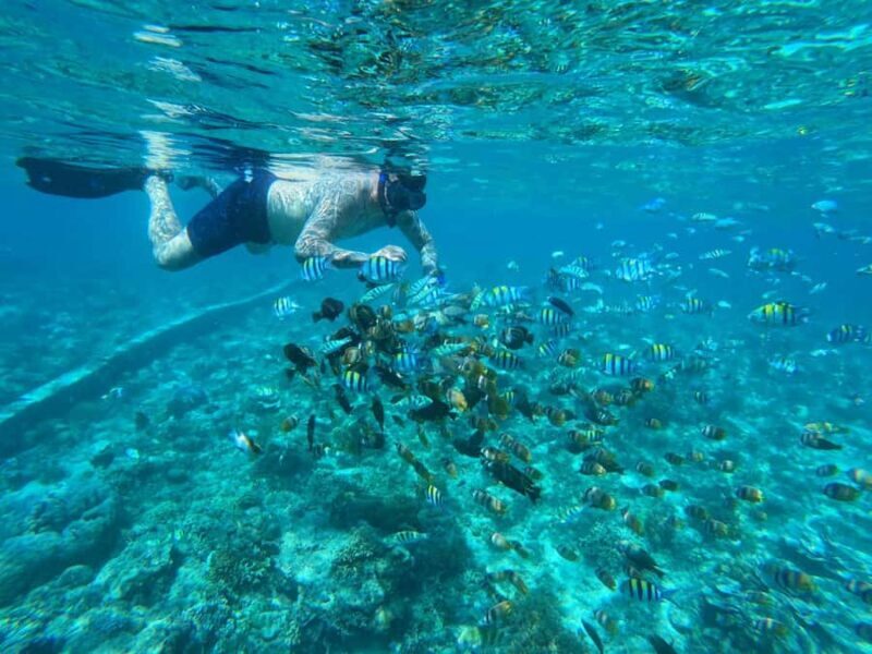 Gili Islands Snorkeling Day Trip with private speedboat - The Sum Up