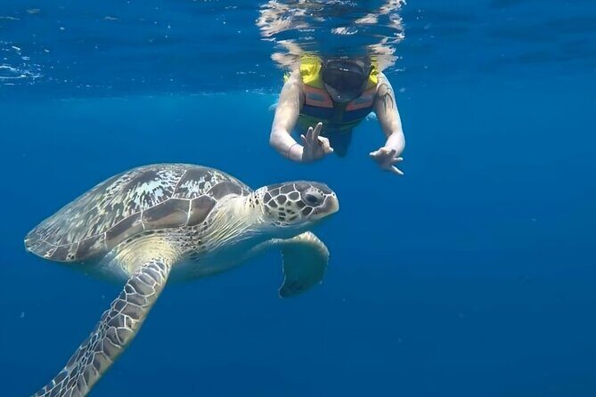 Gili Islands: Snorkeling Tour with Turtles and Statues - Authentic Marine Encounters and Underwater Art
