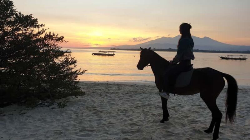 Gili Meno: 1-Hour Beginner Horse Riding Experience - A Detailed Look at the Horse Riding Experience on Gili Meno