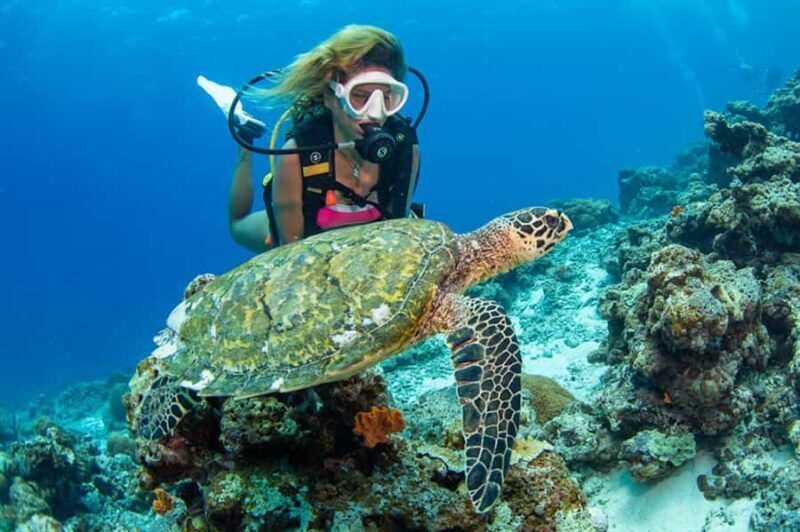 Gili Meno: Discover Scuba Diving for the first time - An Honest Look at the Experience