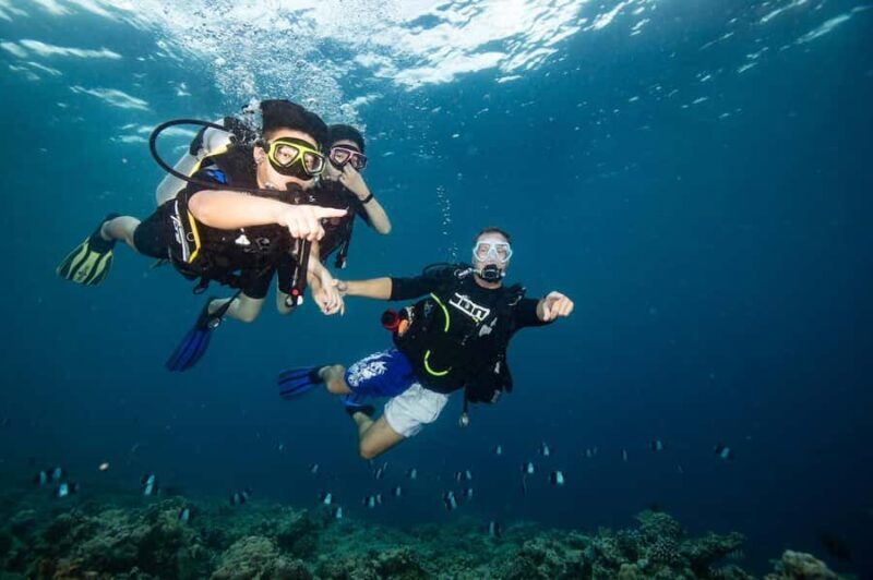 Gili Meno: Discover Scuba Diving for the first time - Who Is This Experience Best For?