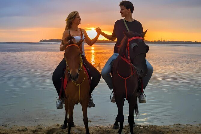 Gili Meno Horse Riding Adventure on the Beach for 1 Hour - An In-Depth Look at the Gili Meno Horse Riding Adventure