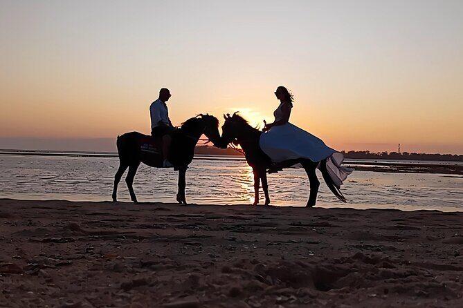 Gili Meno Horse Riding Adventure on the Beach for 1 Hour - The Sum Up