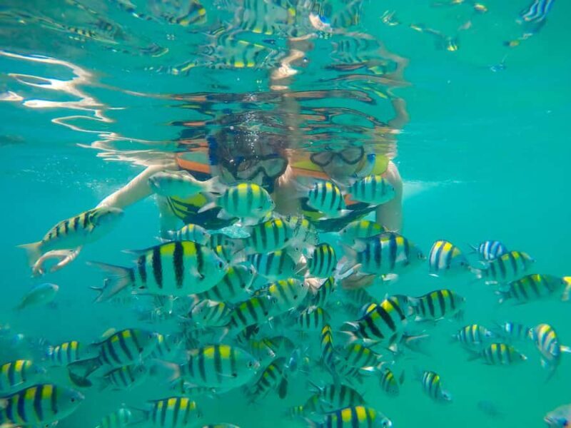 Gili Nanggu Snorkeling Tour from Lombok - Final thoughts