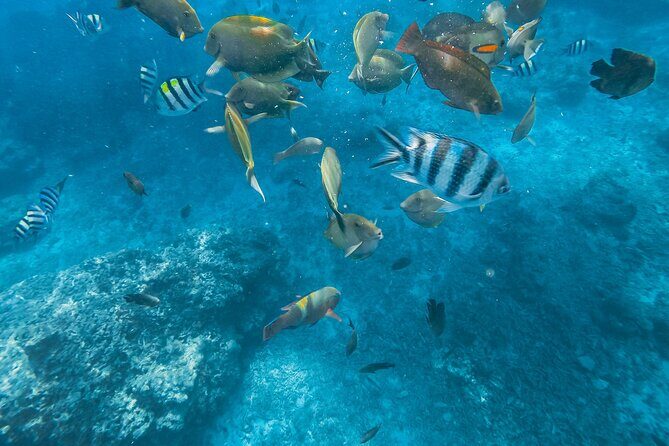 Gili Nanggu,Gili Kedis & Gili Sudak Hopping island & Snorkeling Tour - Final Thoughts